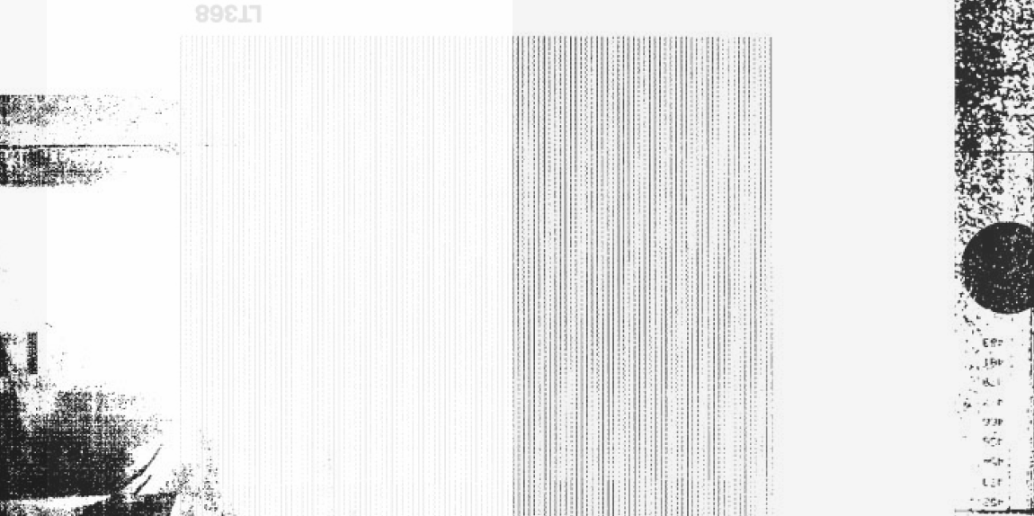 Lead Rendering Programmer